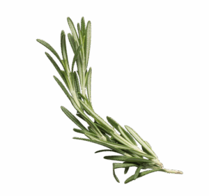 BADAGI – Georgian Restaurant